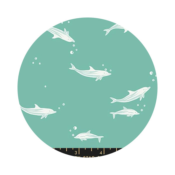 Dolphins in Aqua - Florida Volume 2 Collection - Ruby Star Society ...
